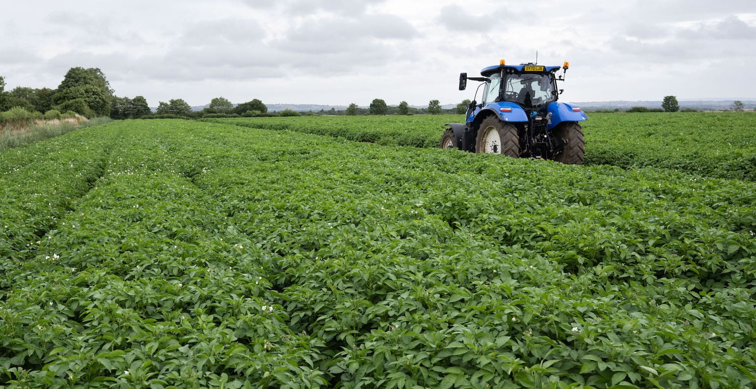 Sustainability - McCain Foodservice